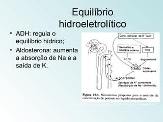 Eter sist urinário | PPT