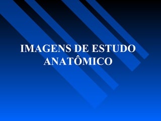 Eter sist urinário | PPT