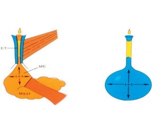 eustachian tube physiology ppt | PPTX