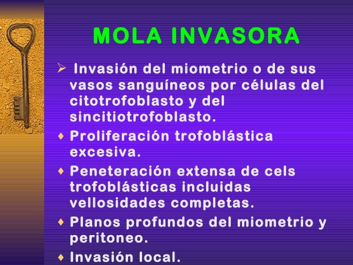 Etg exposición-agsa