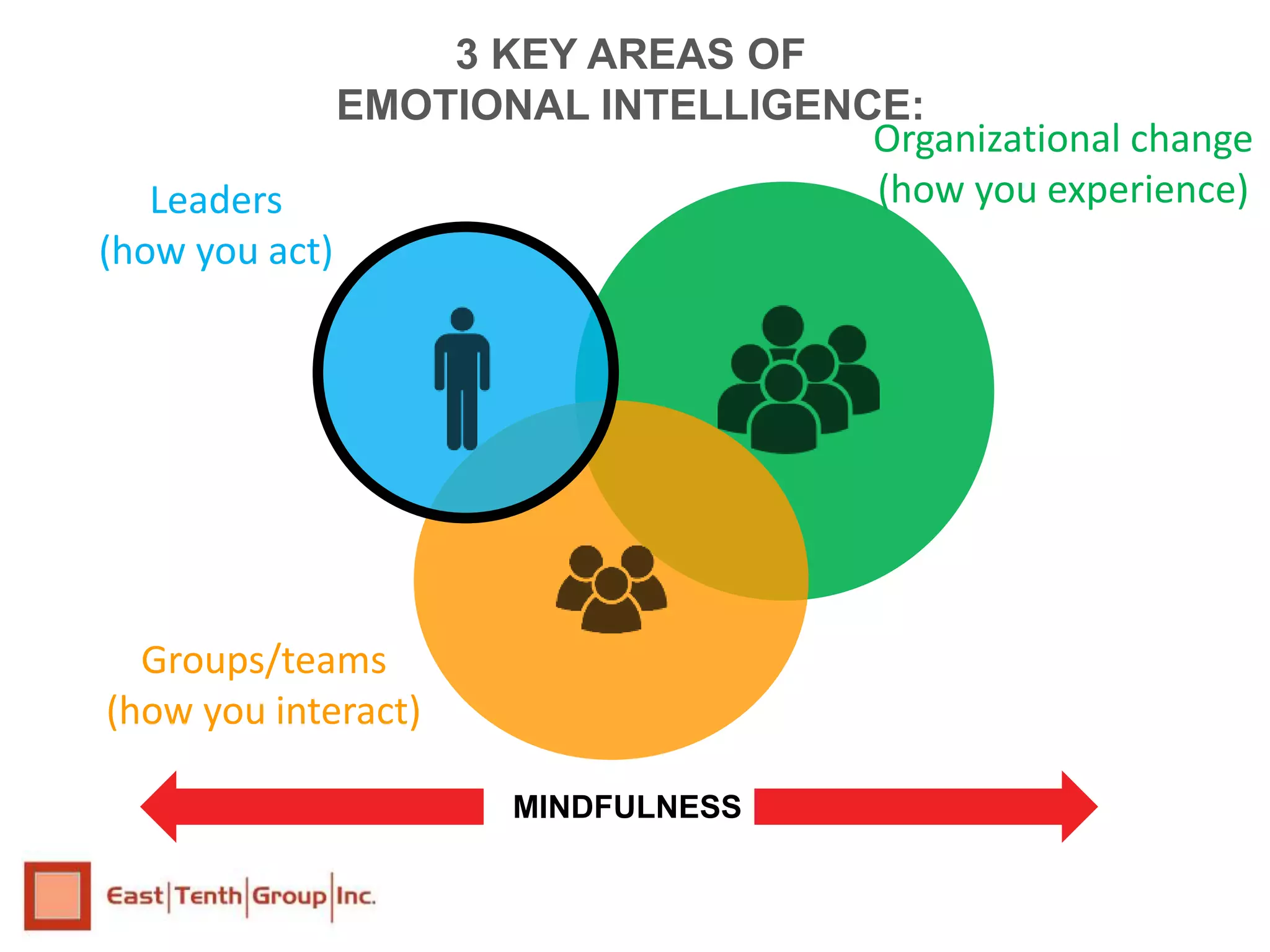 Emotional Intelligence & Mindfulness: How Much Do They Matter to ...
