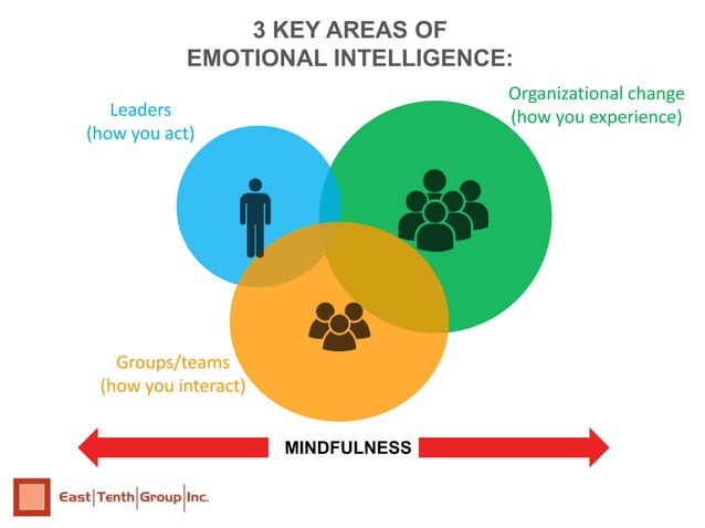 Emotional Intelligence & Mindfulness: How Much Do They Matter to ...