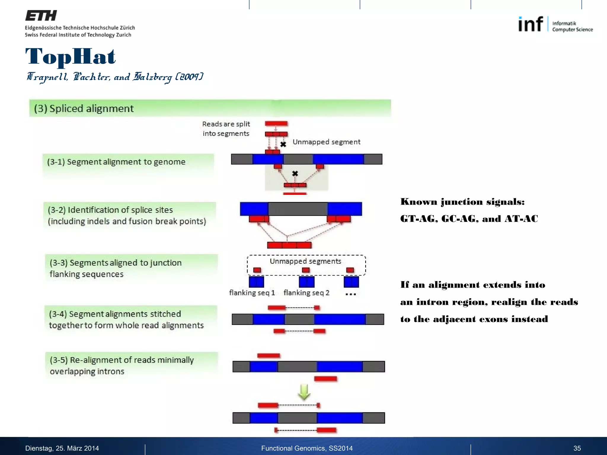 Systematic Evaluation Of Spliced Alignment Programs For Rna Seq Data Ppt