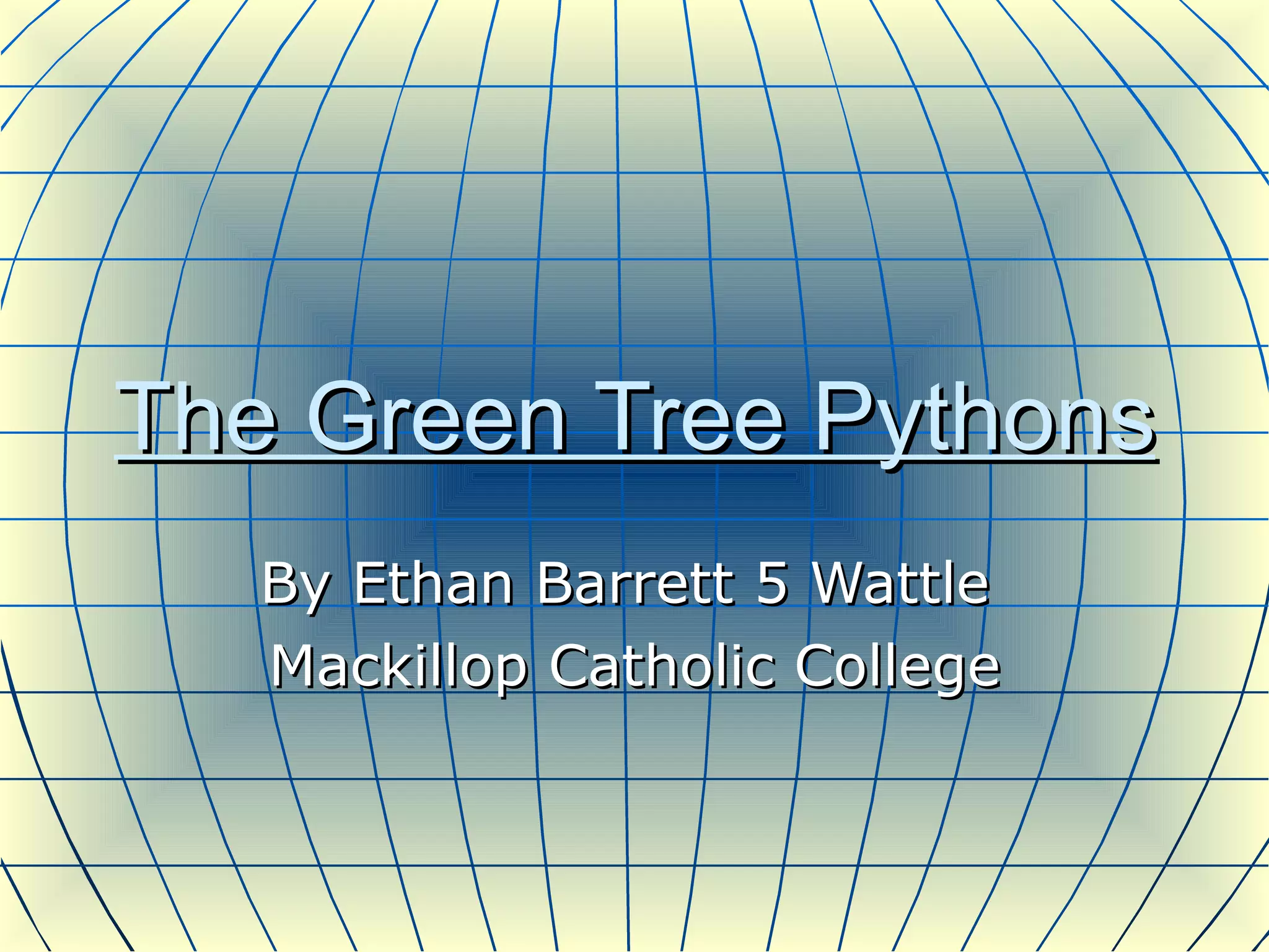 Ethan b the green tree pythons | PPT