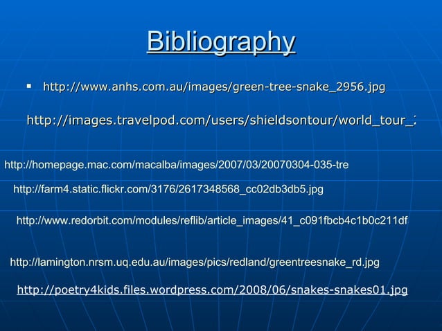 Ethan b the green tree pythons | PPT