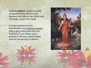 Ethnobotany of Lotus | PPTX