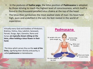 Ethnobotany of Lotus | PPTX