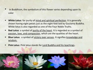 Ethnobotany of Lotus | PPTX