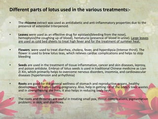 Ethnobotany of Lotus | PPTX