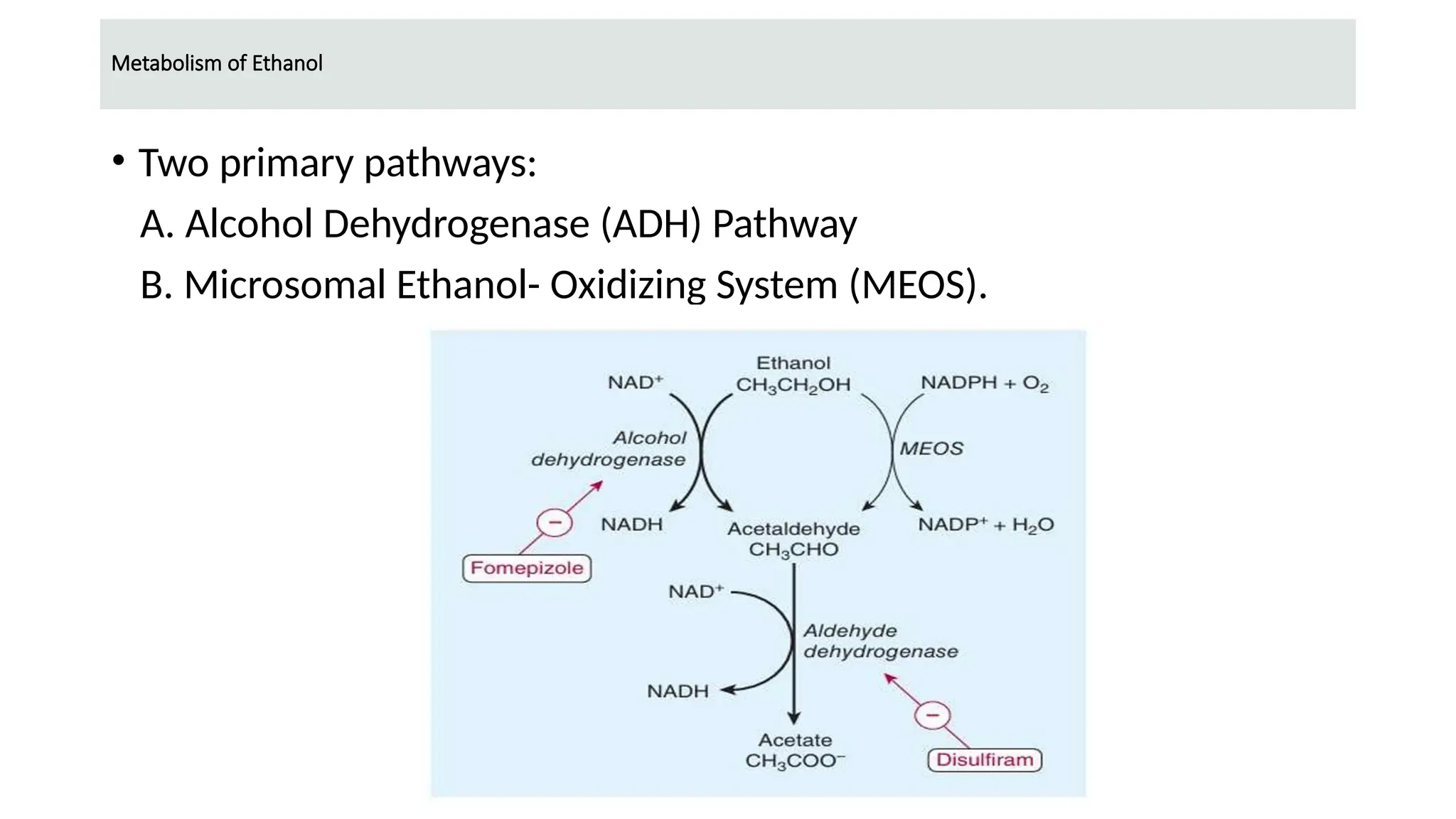 Describe the symptoms and management of ethanol and methanol poisonings ...