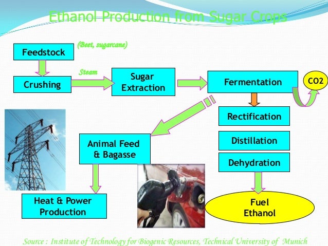 Ethanol biofuel and biodiesel