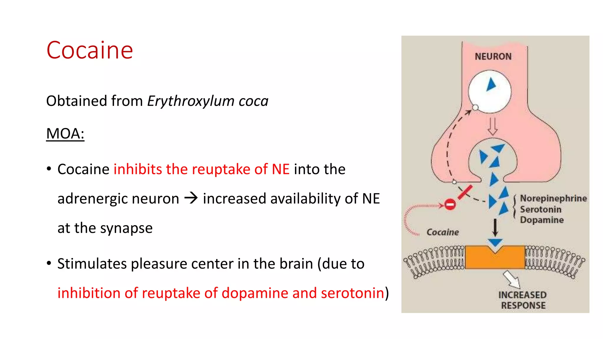 Ethanol, drug use disorders & addiction | PPTX
