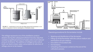 Ethanol fermentation | PPTX