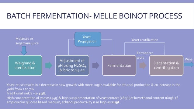 Ethanol fermentation