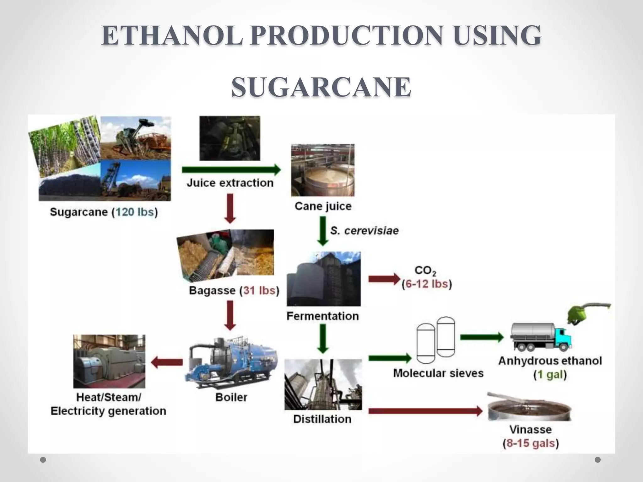 Ethanol fermentation | PPTX
