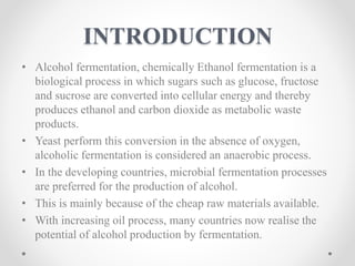 Ethanol Fermentation Process