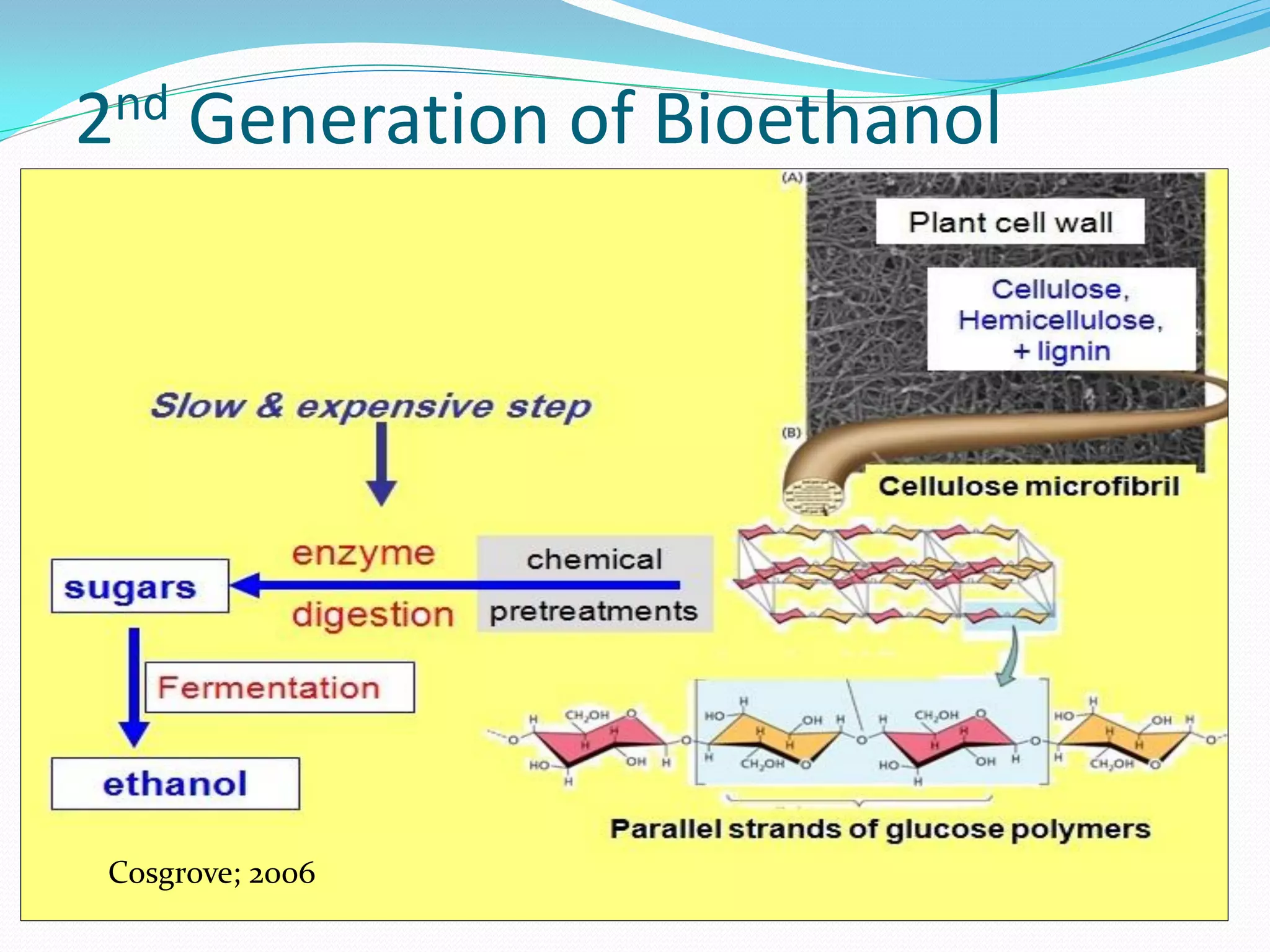 Bioethanol Production | PDF