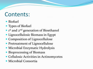 Bioethanol Production | PDF
