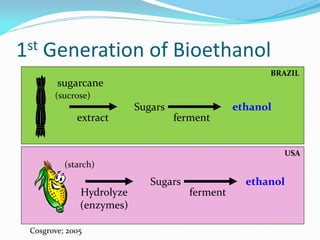 Bioethanol Production | PDF