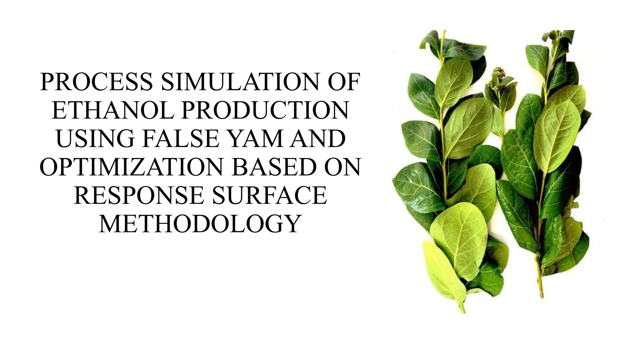 Ethanolic composition of false yam derivatives and its extraction using ...
