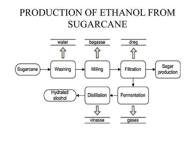 Ethanol production | PPTX