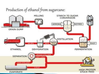 Ethanol prodction | PPT