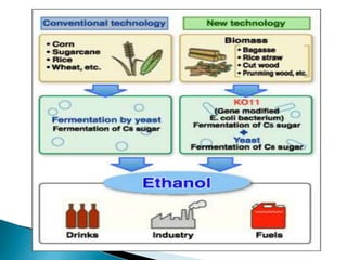 Ethanol prodction | PPT