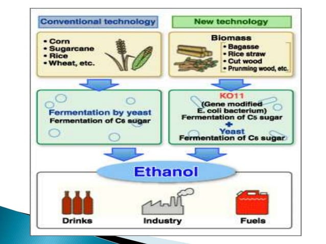 Ethanol prodction | PPT