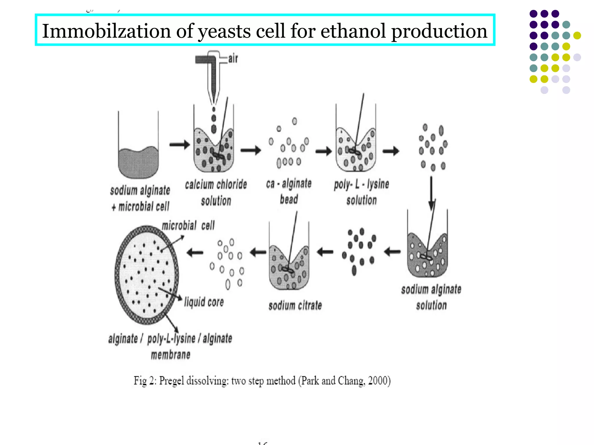 Ethanol Production By Cane Molasses By Saccharomyces Cerevisiae Ppt
