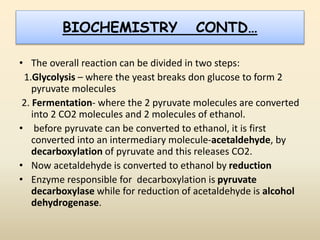 Ethanol production | PPTX