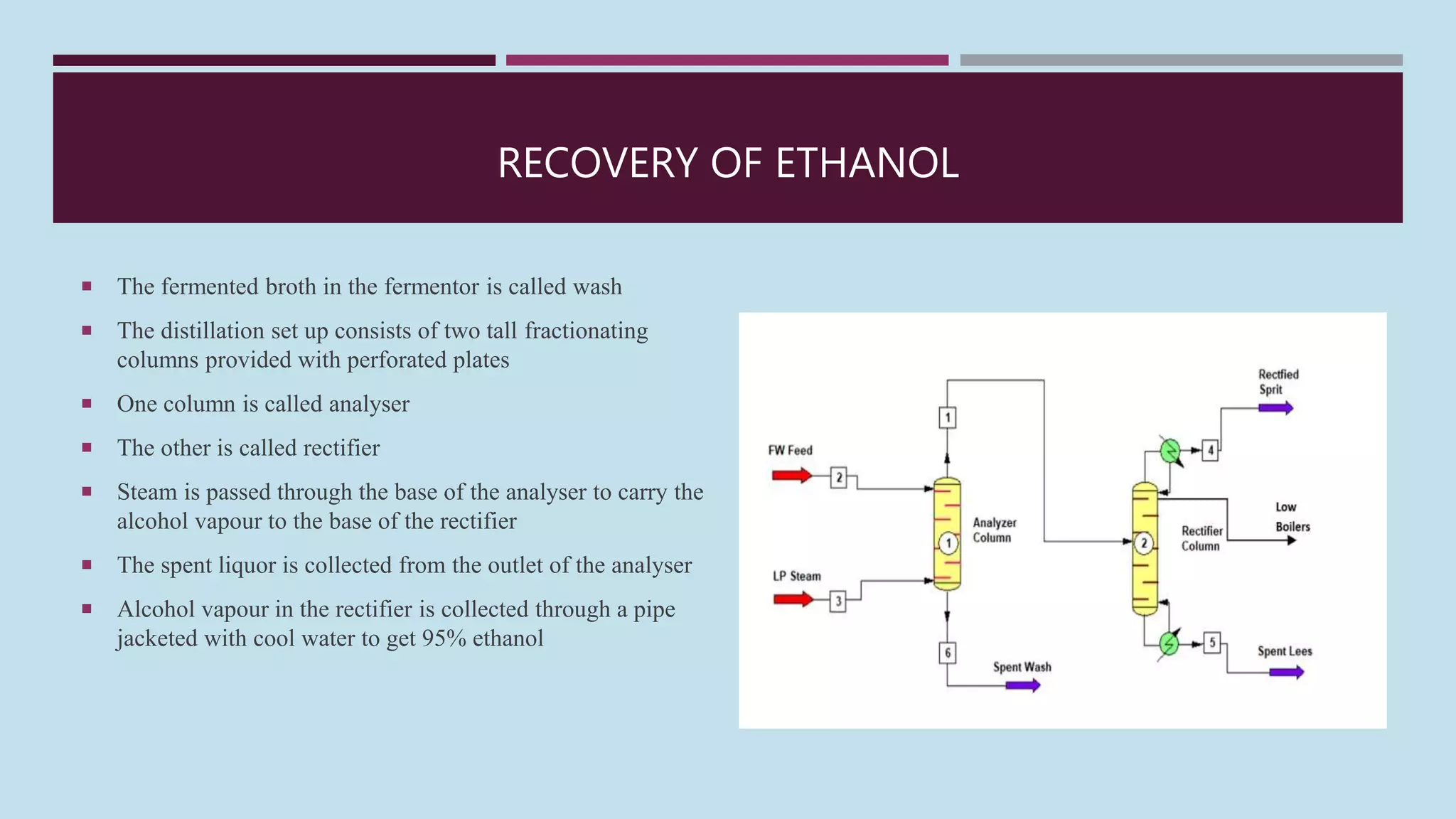 Ethanol production | PPTX