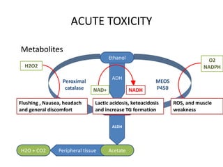 Alcohol toxicity | PPSX