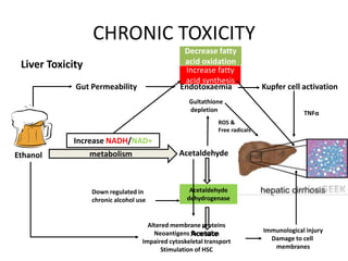 Alcohol toxicity | PPSX