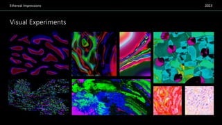 Ethereal Impressions_Proposal.pptx