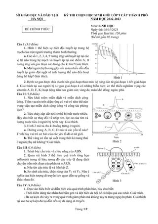 ĐỀ THI - thi chọn HSG lớp 9 cấp Thành phố - Hà Nội - 2022-2023.pdf
