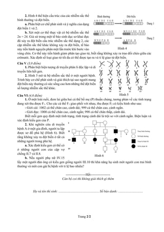 ĐỀ THI - thi chọn HSG lớp 9 cấp Thành phố - Hà Nội - 2022-2023.pdf