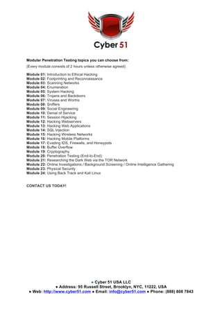 Ethical Hacking / Penetration Testing Training & Coaching | PDF