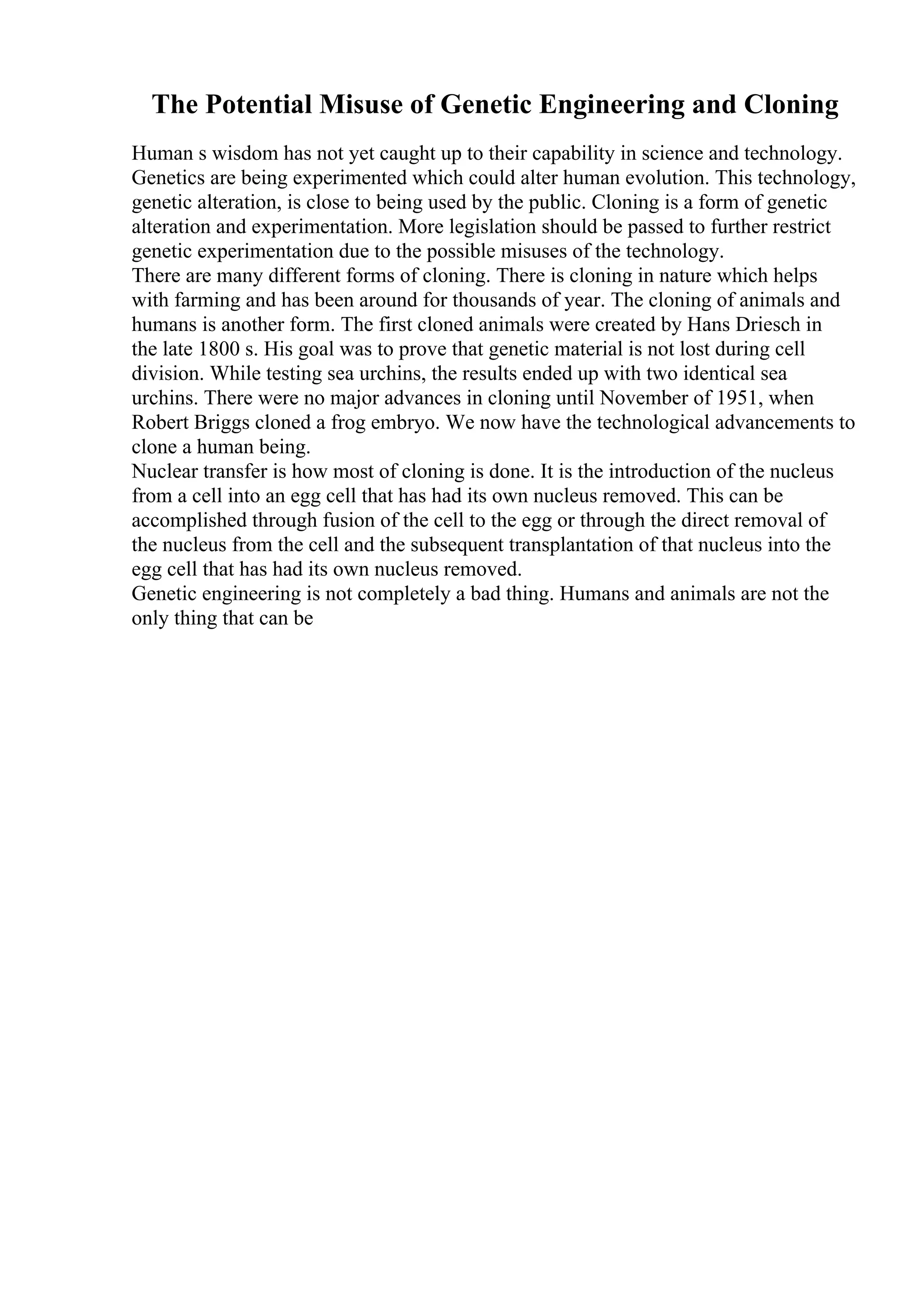 Ethical Dilemma Essay Example | PDF