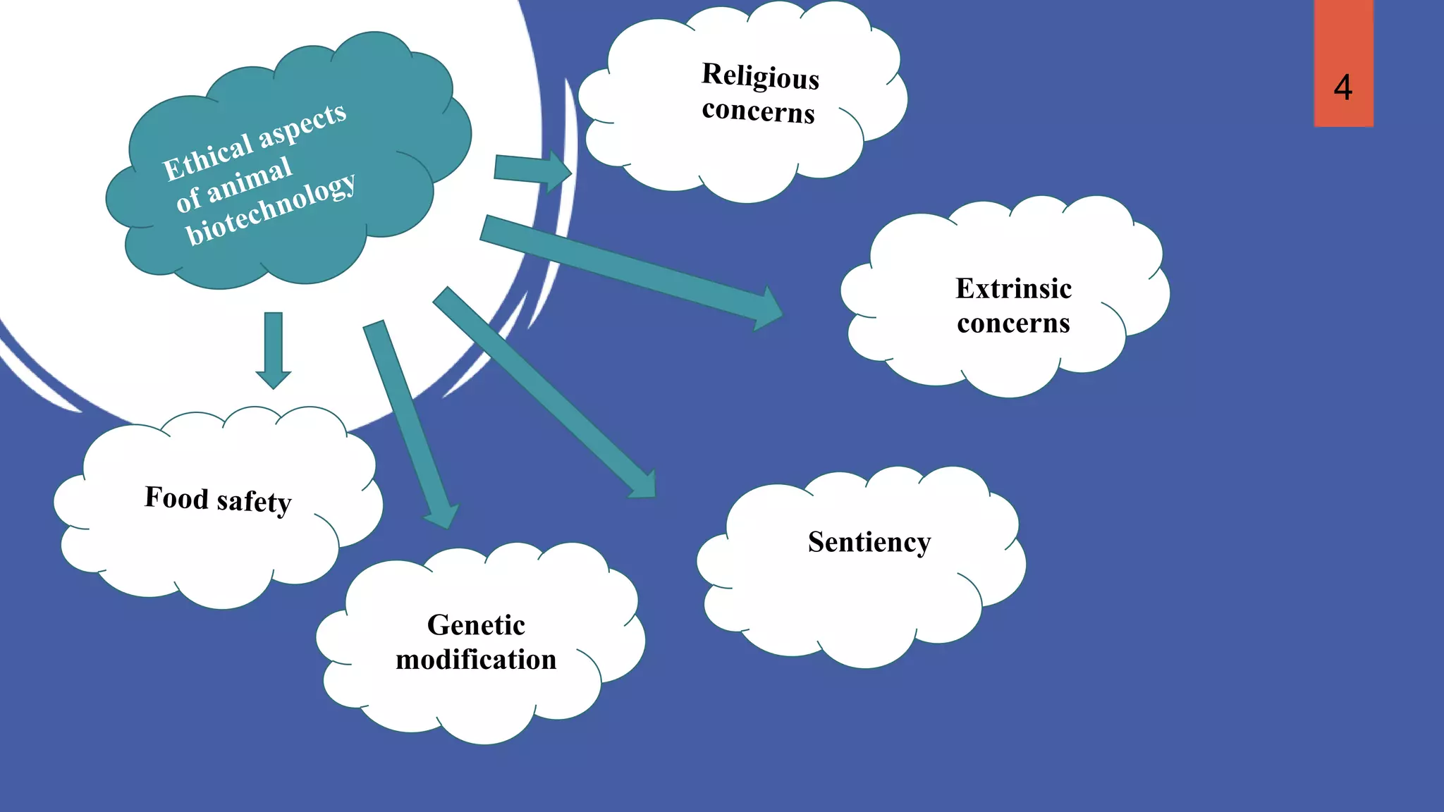 Ethical issues in animal biotechnology.pptx