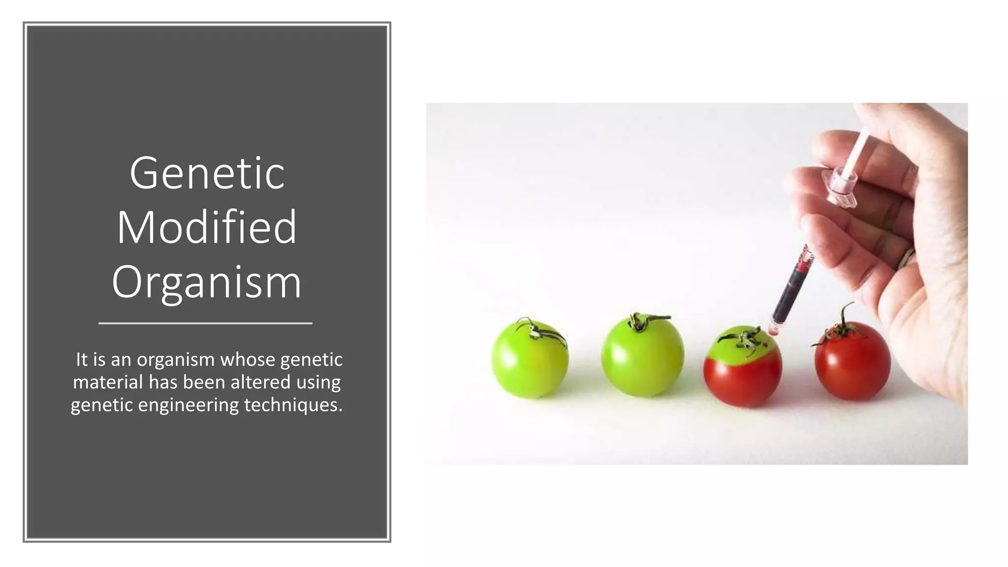 Ethical issues of genetic engineering | PPT
