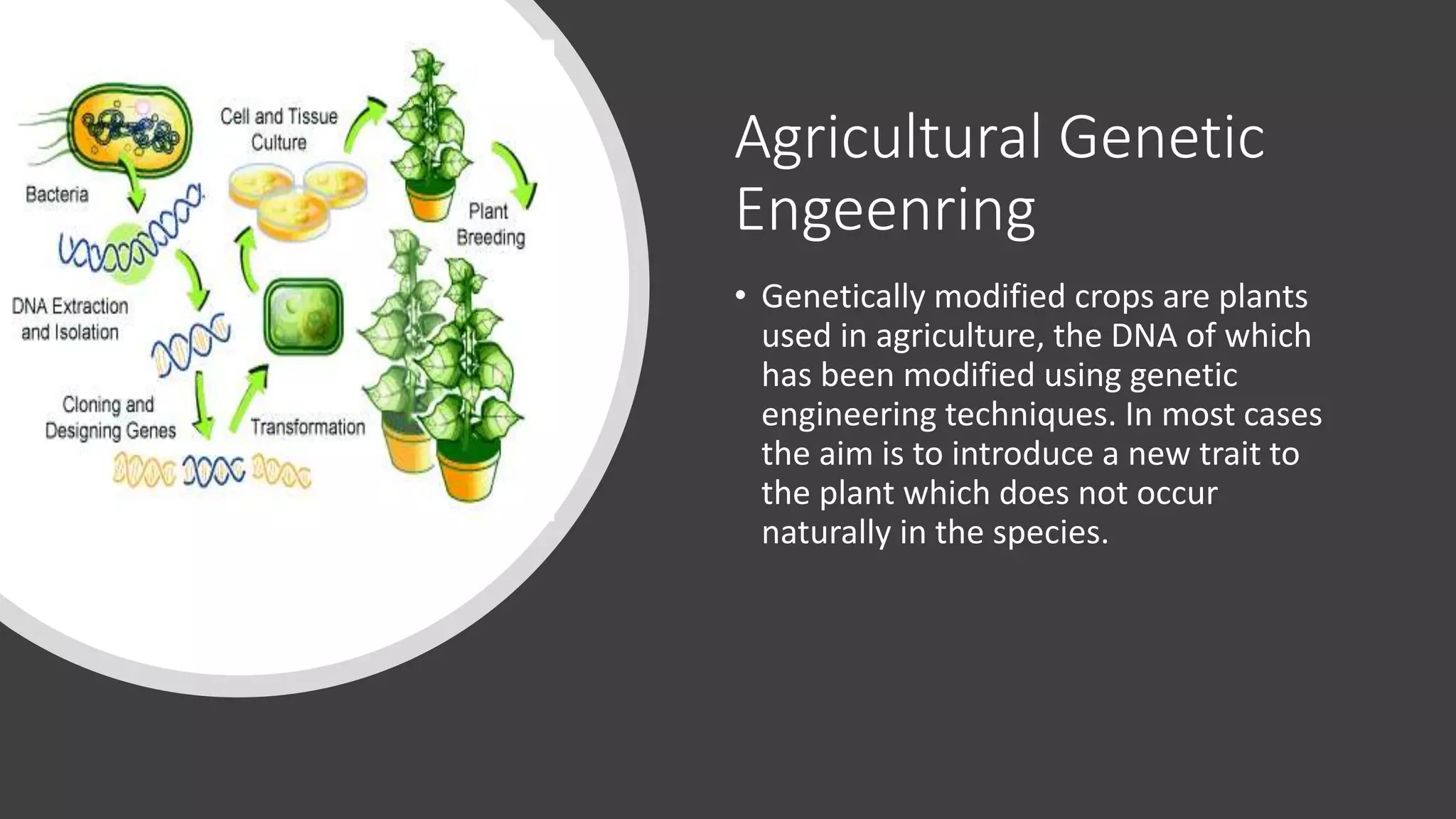 Ethical issues of genetic engineering | PPTX