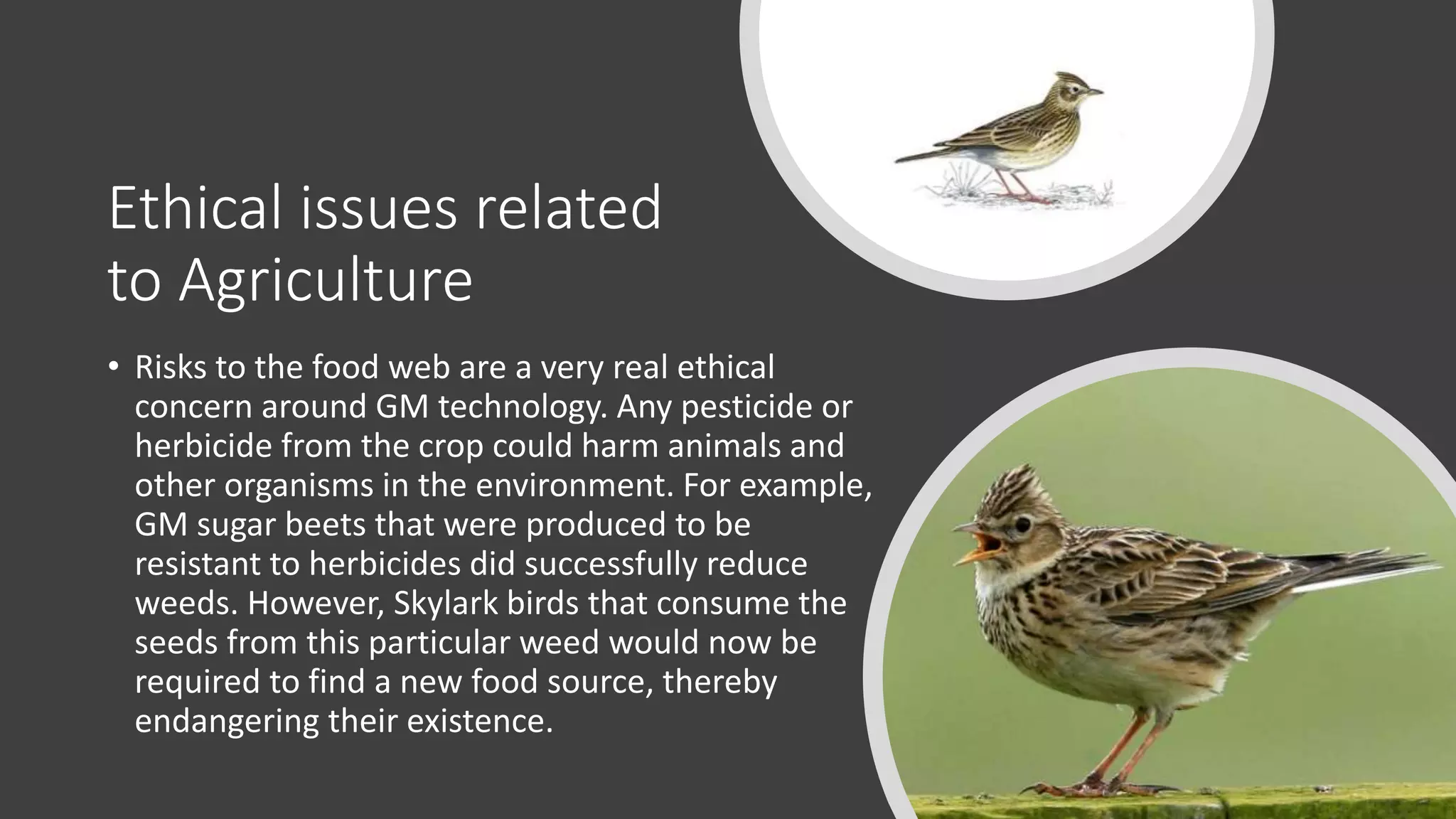 Ethical issues of genetic engineering | PPTX