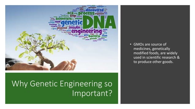 Ethical issues of genetic engineering | PPTX