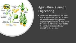Ethical issues of genetic engineering | PPTX