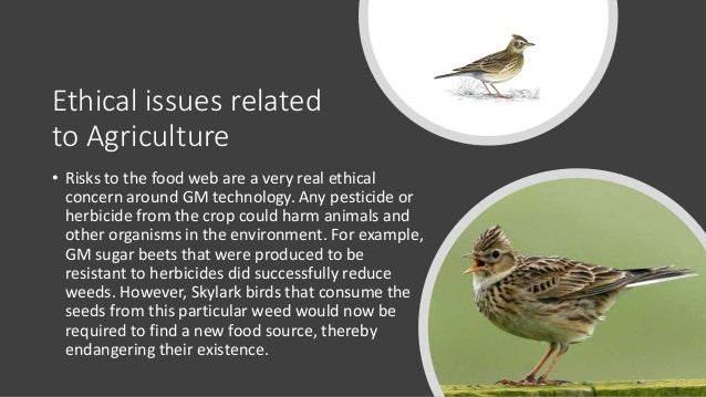 Ethical Issues Of Genetic Engineering ethical-issues-of-genetic-engineering