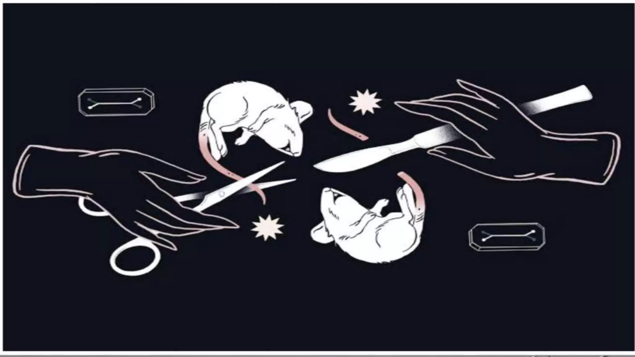 Ethics of animal testing presentation(1).pptx