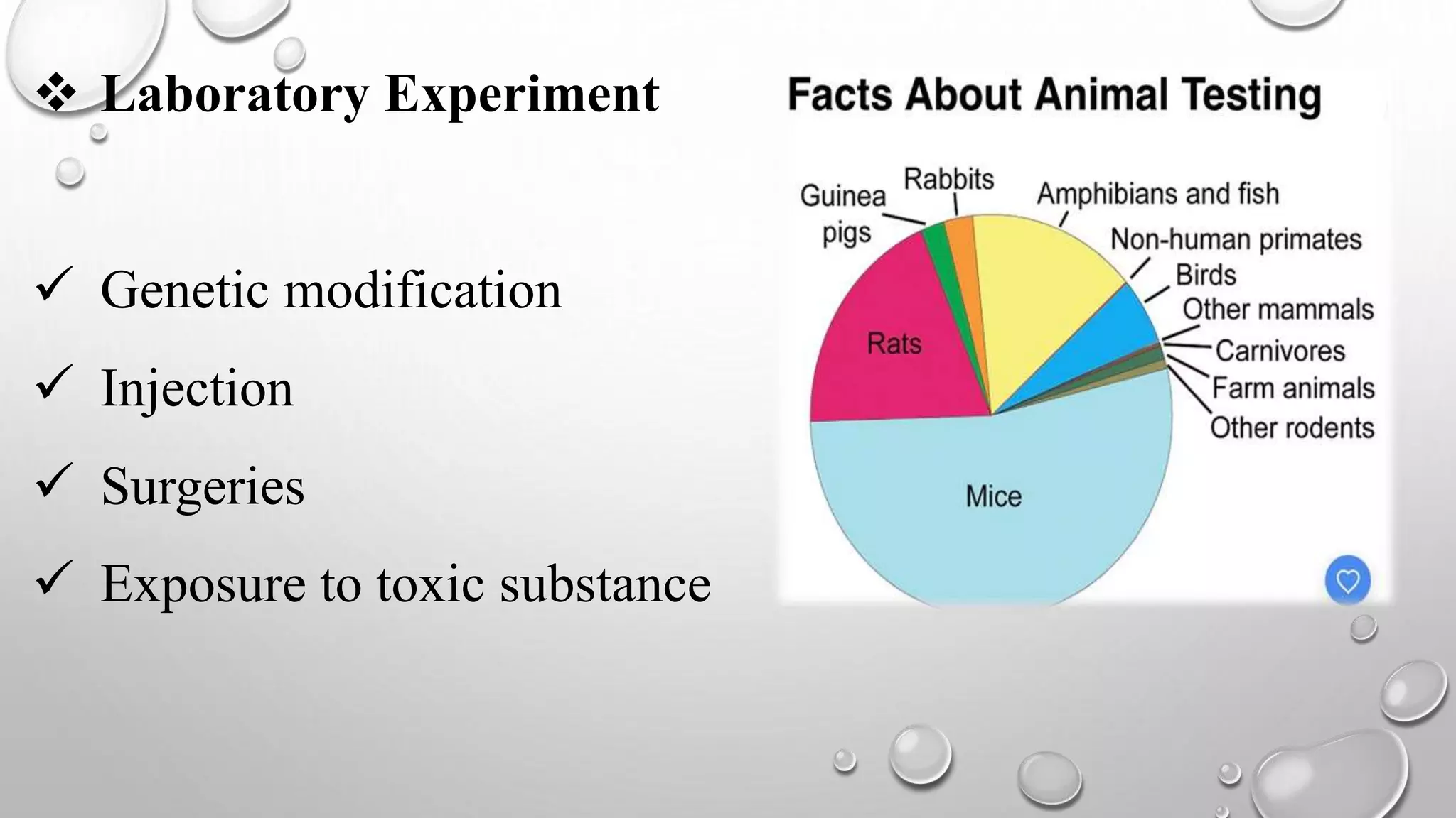 Ethics of animal testing presentation(1).pptx