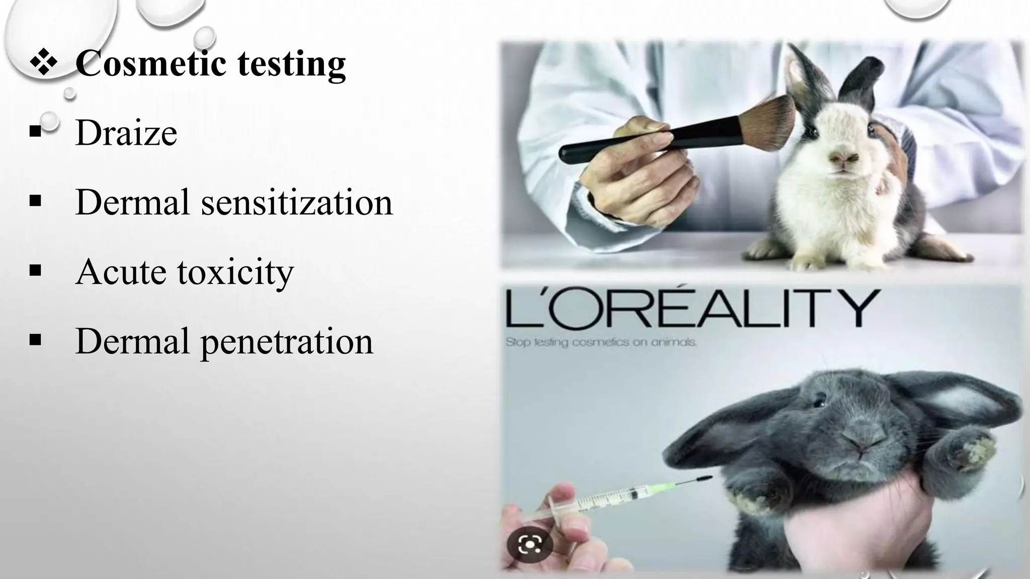Ethics of animal testing presentation(1).pptx