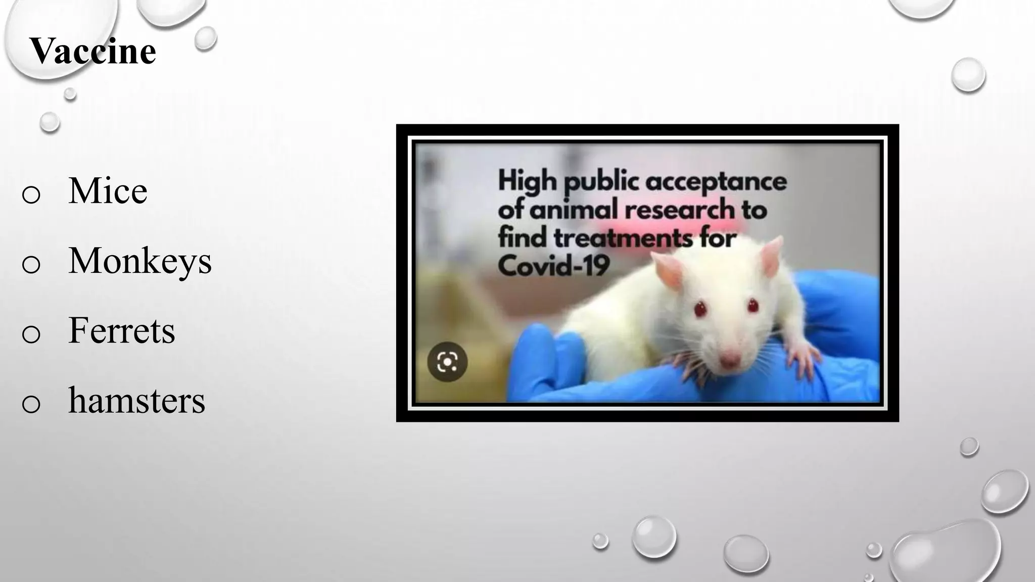 Ethics of animal testing presentation(1).pptx