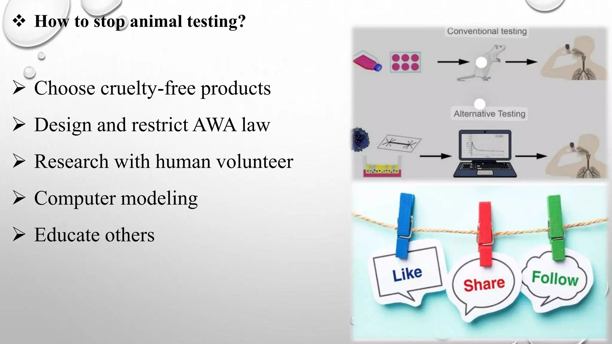 Ethics of animal testing presentation(1).pptx